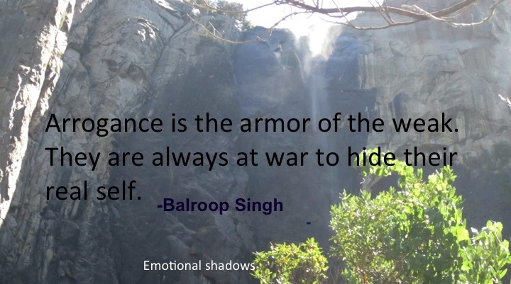 9 Ways To Knock Off Arrogance – Emotional Shadows